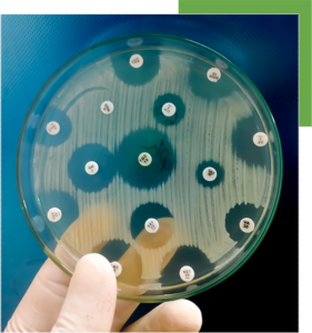 Product - Innovating The Future of Wound Care