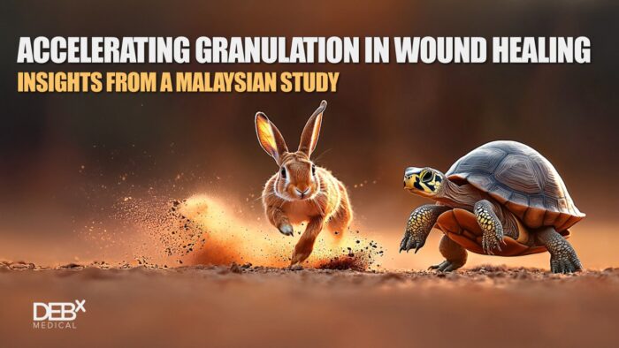 Accelerating Granulation in Wound Healing: Insights from a Malaysian ...
